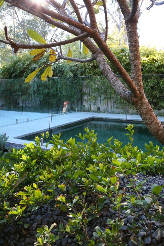 Samford - Aesthetic Pools & Landscapes // Multi-Award Winners